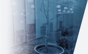 Medio Ambiente y Cadena de Custodia | Docalia